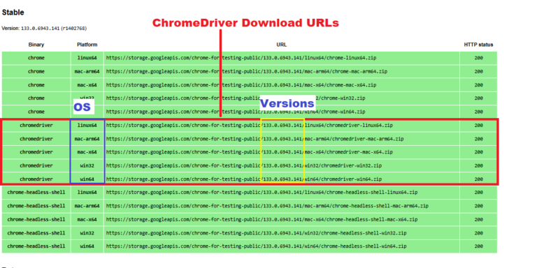 How to Download Chromedriver for Selenium (Step-by-Step Guide)