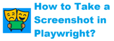 How to Take Screenshot in Playwright With Example